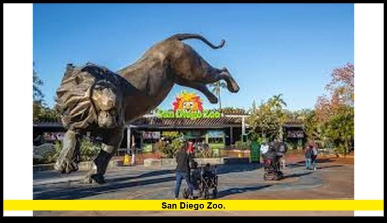 San Diego Zoo: Latest Updates, Conservation Efforts, Visitor Experience ...